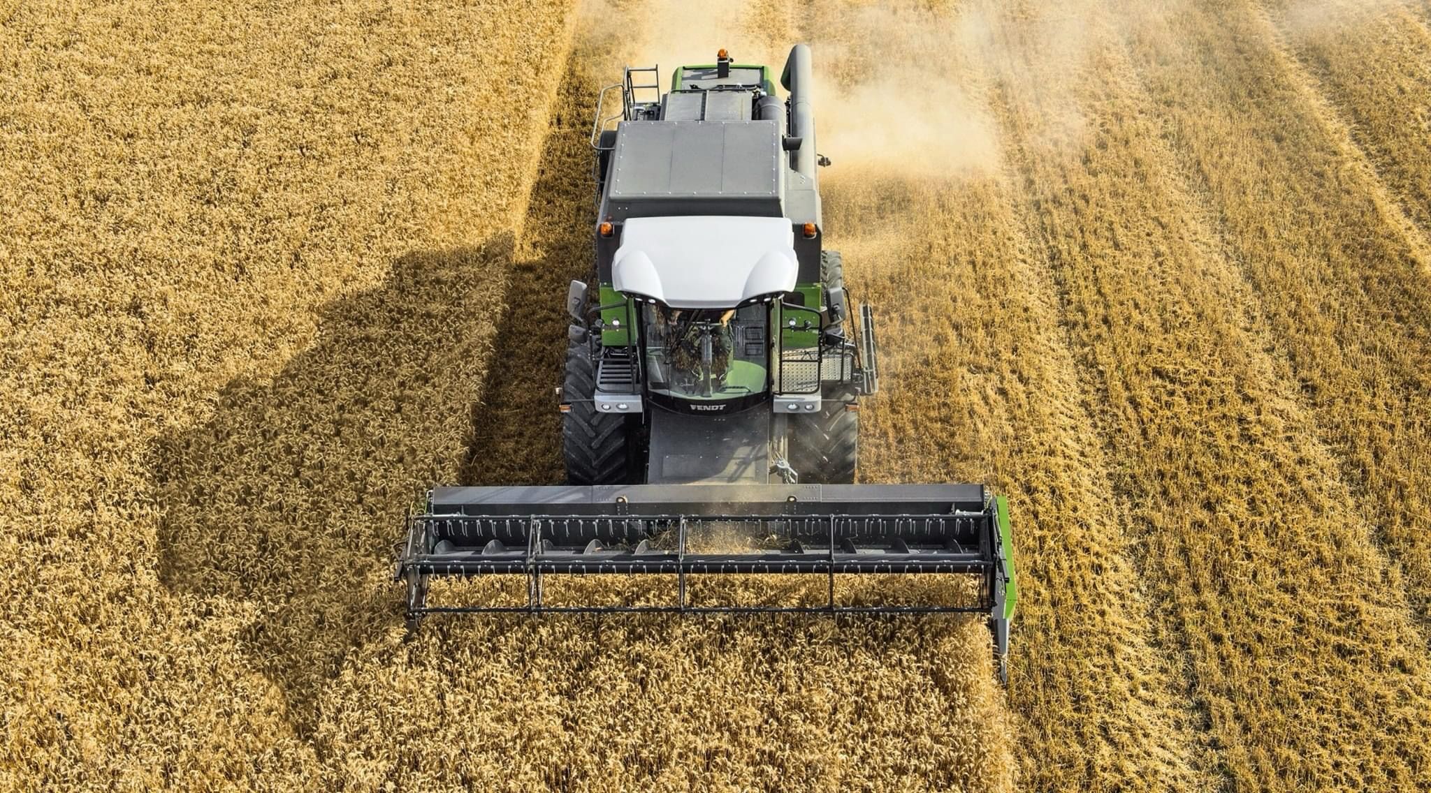 Grâul european s-a ieftinit până la minime istorice pe burse – AgriPedia