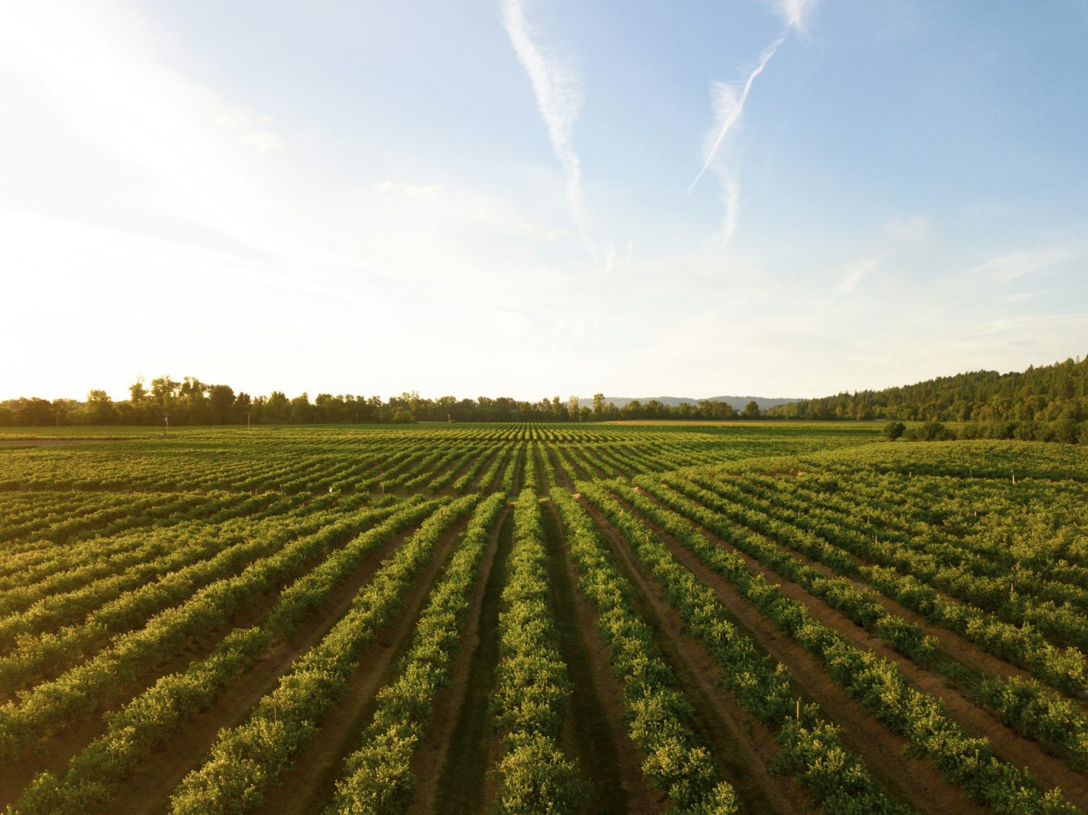 Agricultura inteligentă – o nouă perspectivă pentru lucrătorii ...